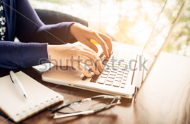 Layer 21@1X | Adrian Roche Co., Ltd